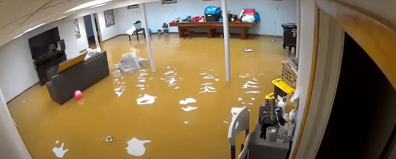 Skills of a Reliable Water Extraction Expert - Flood and Water Damage ...