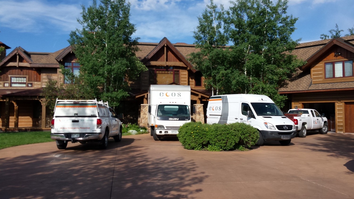 Pigeon Droppings Cleanup – Keep Away The Mess - Flood and Water Damage ...
